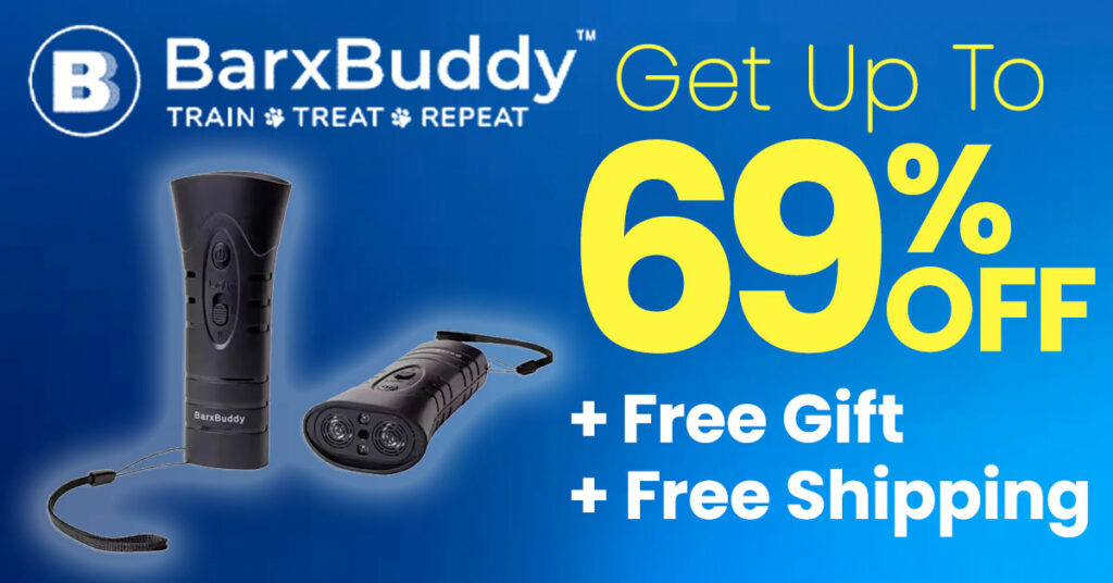 Exclusive BarxBuddy Offer – Best Practices